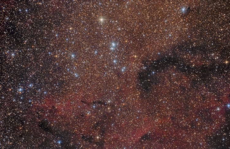 NGC 6871 und B 146/147 im Schwan | Forum Astronomie.de